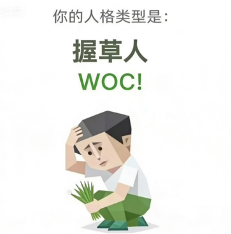WOC! The WTF-er Explained · 15 Dimensions & Compatibility | SBTI Test